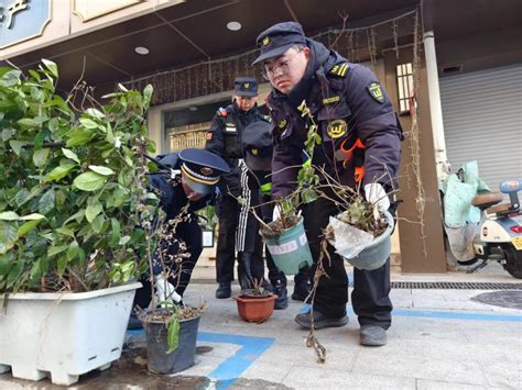 嘉兴南湖区建设街道：整治背街小巷 提升城市环境