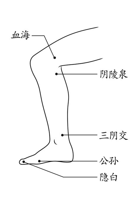 養生第四條經脈足太陰脾經 每日頭條
