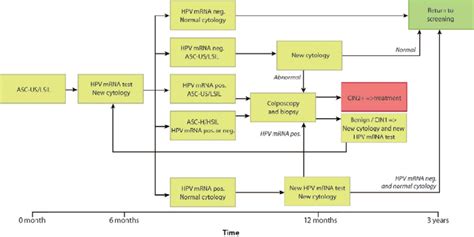Flow Chart Showing The Guidelines For Follow Up Of Minor Cytological Download Scientific
