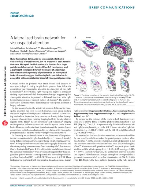 Pdf A Lateralized Brain Network For Spatial Attention