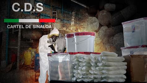 Los Sofisticados Laboratorios Del Cártel De Sinaloa Que Están En La Mira De Eeuu Infobae