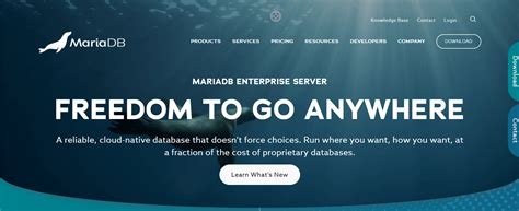 数据库传奇：mysql创世之父的两千金my、maria mysql之父 csdn博客
