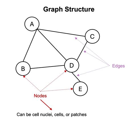 Pathology Outlines Application Of Graph Neural Networks To Whole