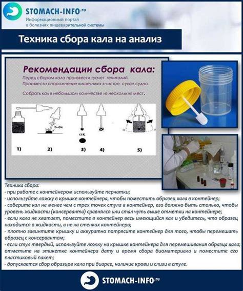 Как правильно собрать кал на анализ: подробная инструкция | Медицинская ...