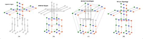 Figure 1 From S3gaar Segmented Spatiotemporal Skeleton Graph Attention For Action Recognition