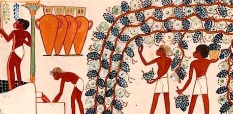 Resolvieron Un Misterio El Vino Surgió Hace 11000 Años