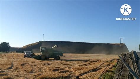 John Deere 6622 Wheat Harvest Timelapse YouTube