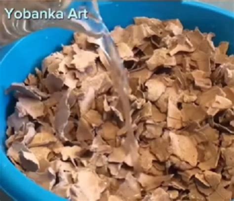 Con los maple de huevos que ibas a tirar creá de forma súper fácil la
