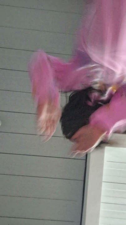 Pedro Pedor Pedro Youtube