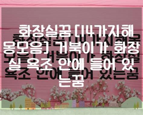 화장실꿈 14가지해몽모음 거북이가 화장실 욕조 안에 들어 있는꿈