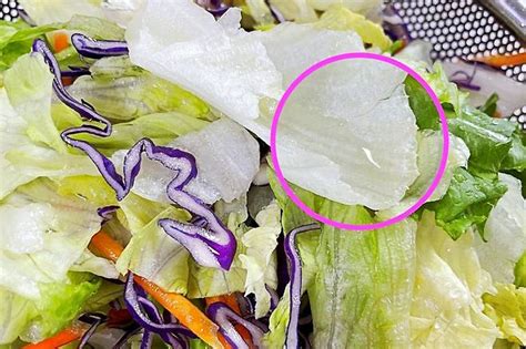 야채 탈수기 없을 때 이렇게 하세요 탈수기로 물기 뺀 듯 효과가 놀라워요~ 쏙쏙팁