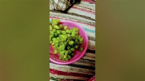 Kon Kon Khayega Angur Aa Jao😜😜 Shotsvideo Youtube