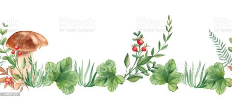 수평 수채화 숲 원활한 테두리 패턴입니다 포르치니 버섯 녹색 잎과 가지 붉은 열매와 야생화 손으로 그린 식물 그림입니다 직물 포장 인쇄물 프레임 접착 테이프 및 종이