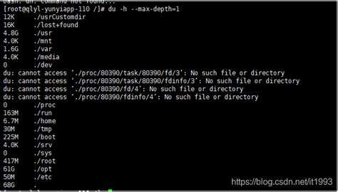 linux系统删除文件后，仍占用磁盘空间 删除文件后df h没变化 csdn博客