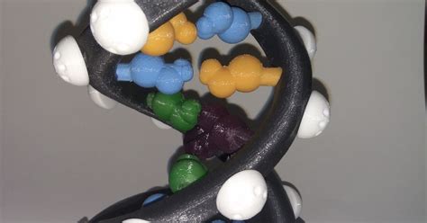 Dna Chain By Leptónica Download Free Stl Model