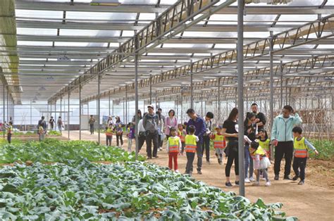 欢乐相聚 共享美食怪草原有机农业园开启蔬菜王国游玩之旅 员工活动 东方文化 东方集团有限公司
