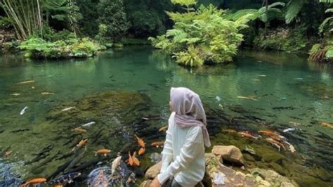 Destinasi Wisata Green Paradise Pagar Alam Menikmati Alam Bebas Di
