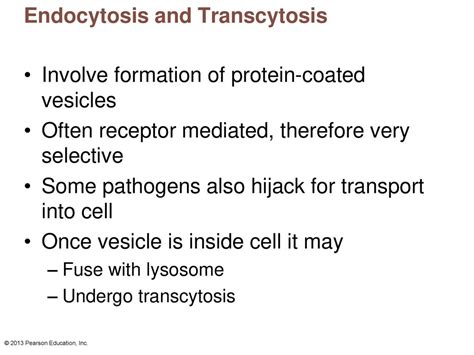 Membrane Transport Active Processes Ppt Download