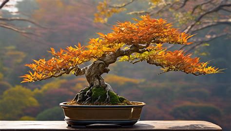 Bonsai Tree Positioning For Optimal Growth Bonsai Care And Maintenance