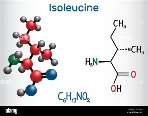 Molécula de aminoácido de isoleucina L isoleucina Ile I Se