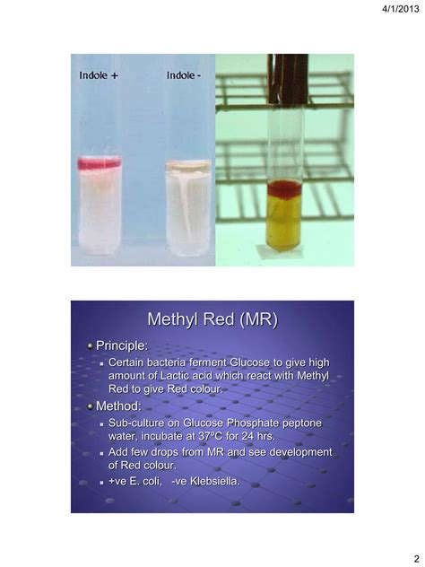 Biochemical Reaction Mahadi Ppt Pdf Chemistry Science