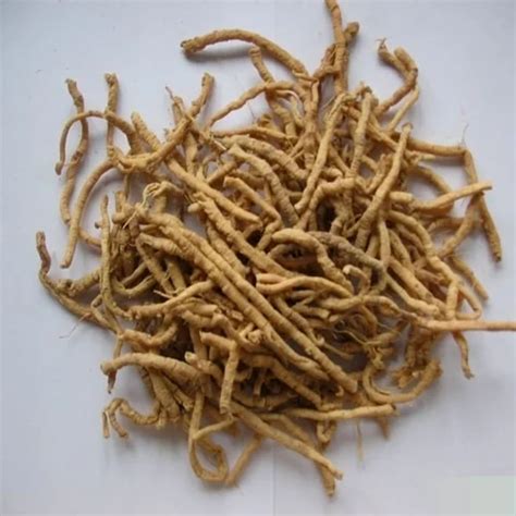 Dry Roots Extracts At 3500 Kg Ghaziabad ID 26171315530