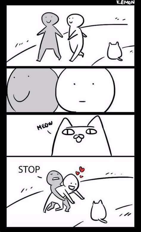 Todo Dia Gatinhos ProjetoMila On Twitter