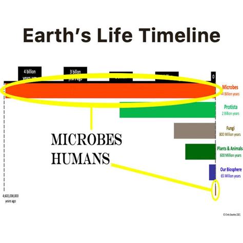 Christopher Searles On Linkedin The Value Of Biosphere Earth The Life