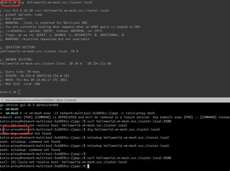 Istio 1114 Smart Dns Smart Dns Proxy Is Breaking Dns Resolution In