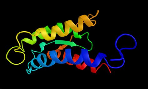 Interleukin 2 Interactions Revealed By Researchers To Aid In Drug Design