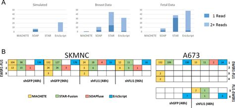 Performance Of Machete Compared To Soapfuse Ericscript And Download Scientific Diagram