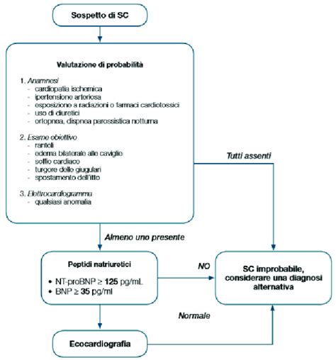 Algoritmo Diagnostico Per La Diagnosi Di Scompenso Cardiaco Ad Download Scientific Diagram