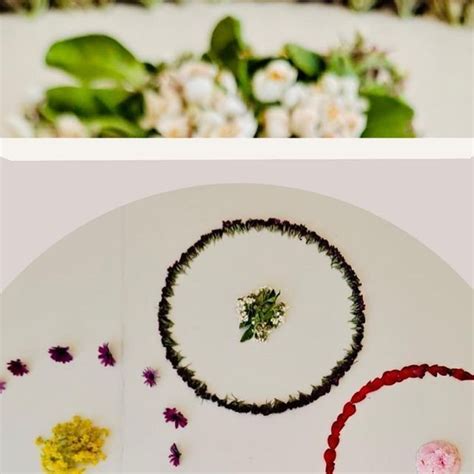 Escuela Carmen Cervigón On Instagram Mandala Con Flores De Primavera