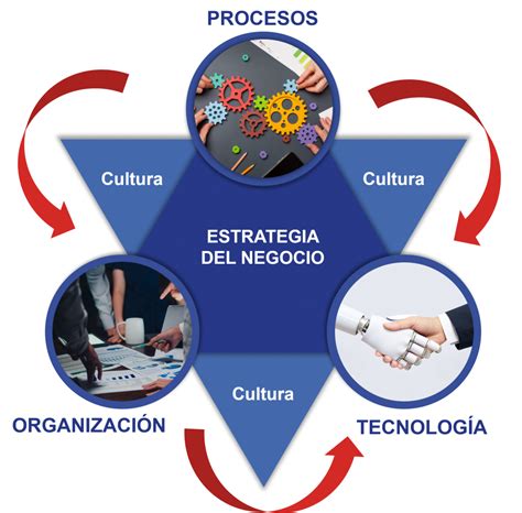 Optimización De Procesos Y Estructura Organizacional Coacharte