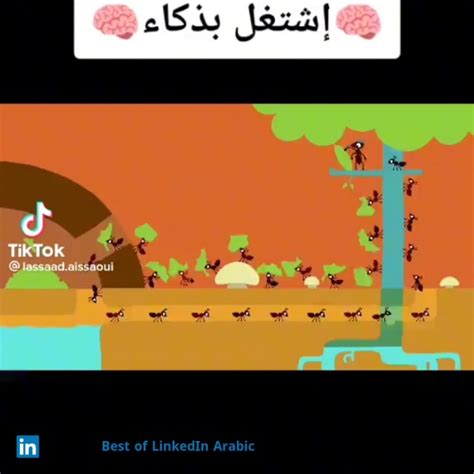 Saidali Ambusaidi Posted On Linkedin