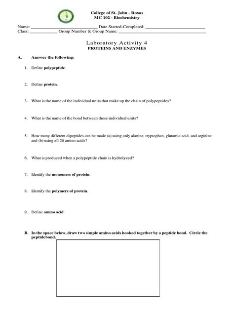 Lab 4 Activity Download Free Pdf Enzyme Proteins
