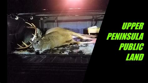 PUBLIC LAND MI BUCK YouTube