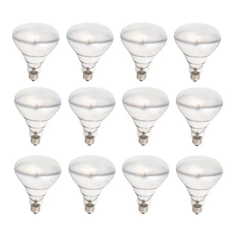 Philips Halogen 120w Br40 Flood Case Of 12 Bulbs The Home Depot Canada