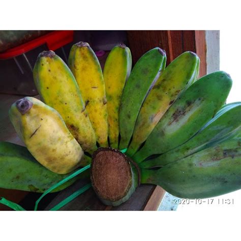 Jual Pisang Kepok Kg Shopee Indonesia