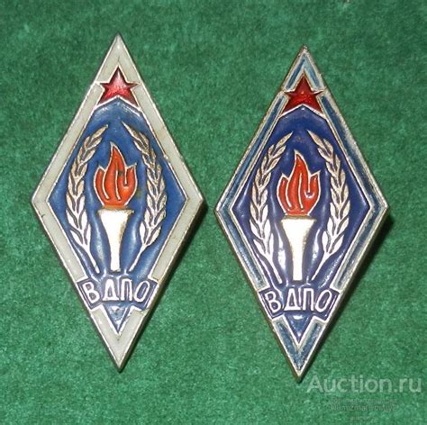 Значок "ВДПО(2 разных окраса)" Ж — покупайте на Auction.ru по выгодной ...