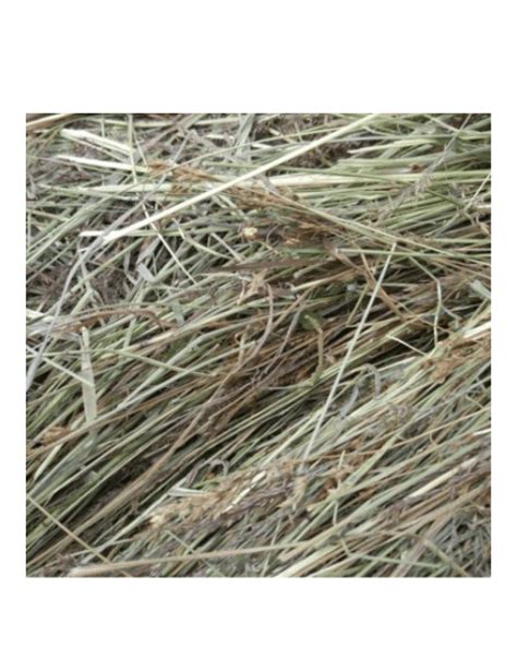 Premium Grass Hay Hurstbridge Saddlery