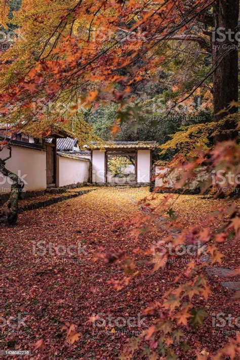 가을에 화려한 나뭇잎으로 덮인 흰색 건물로 둘러싸인 정원의 수직 그림 0명에 대한 스톡 사진 및 기타 이미지 0명 가을