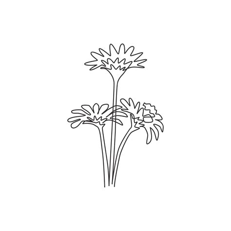 Premium Vector Single Continuous Line Drawing Beauty Asteraceae For