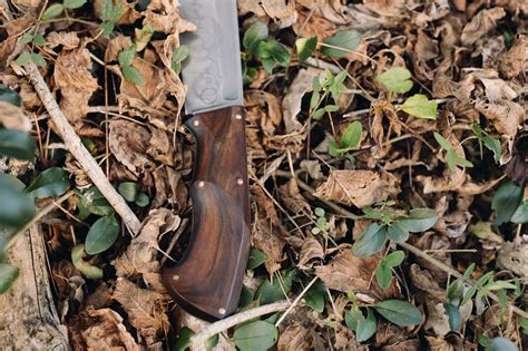 Ouroboros Forge Forged Hamon Seax Ridgerunner Blades