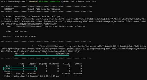 Addressing The Windows Error Destination Path Too Long