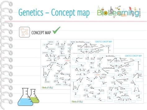 Genetics Concept Map Ks3ks4 Teaching Resources