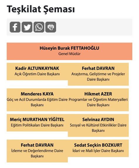 İktidara yakın gazetecinin eşi olmak Resim öğretmeniyken eğitim politikaları daire başkanı oldu