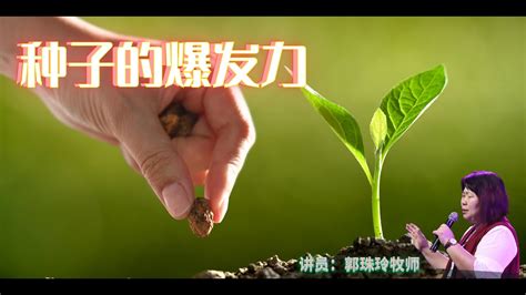 29102023 清福堂主日学主日崇拜 种子的爆发力 郭珠玲牧师 Youtube