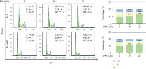 Daurisoline Induced P21 P27 Dependent G1 Phase Cell Cycle Arrest A