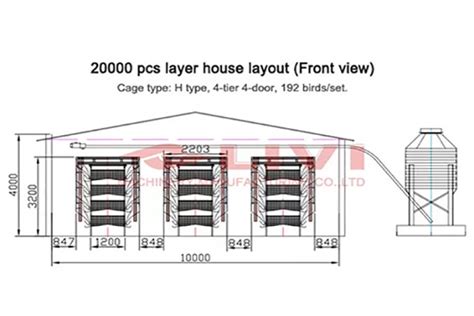 Solution Of 20000 Chickens In Layer Battery Cage Livi